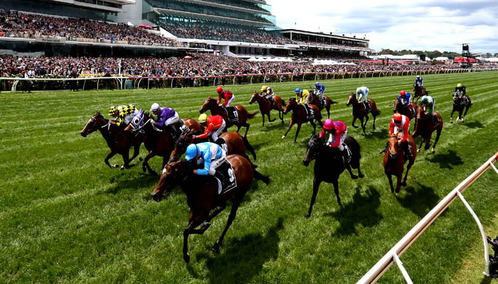Melbourne Cup | Tuesday 7th November 2023 What's On